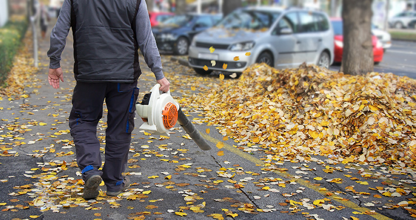 Spring & Fall Cleanup – Clarkview Outdoor Living Solutions